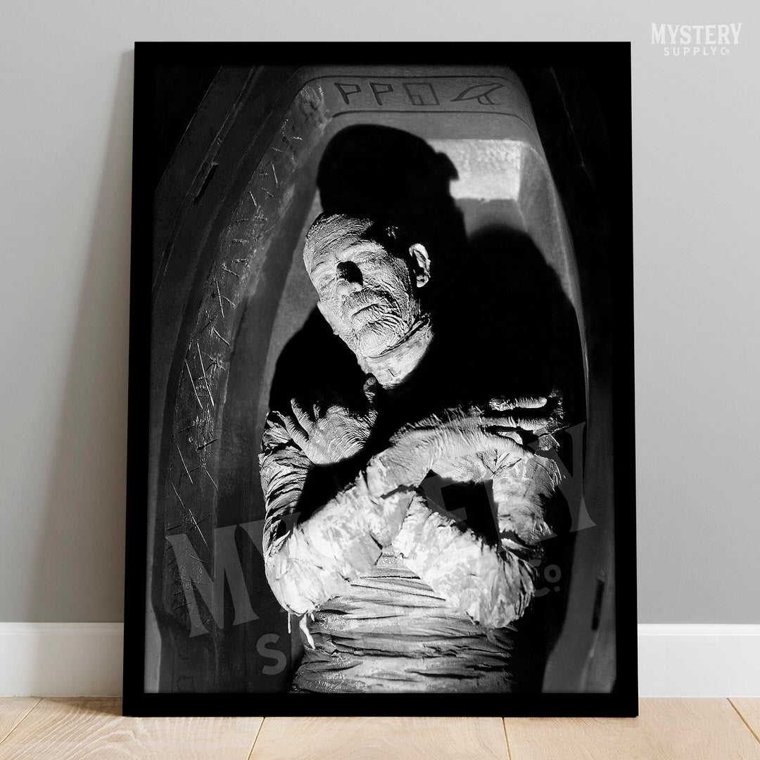The Mummy 1932 Horror Movie Boris Karloff Coffin Monster Photo ...