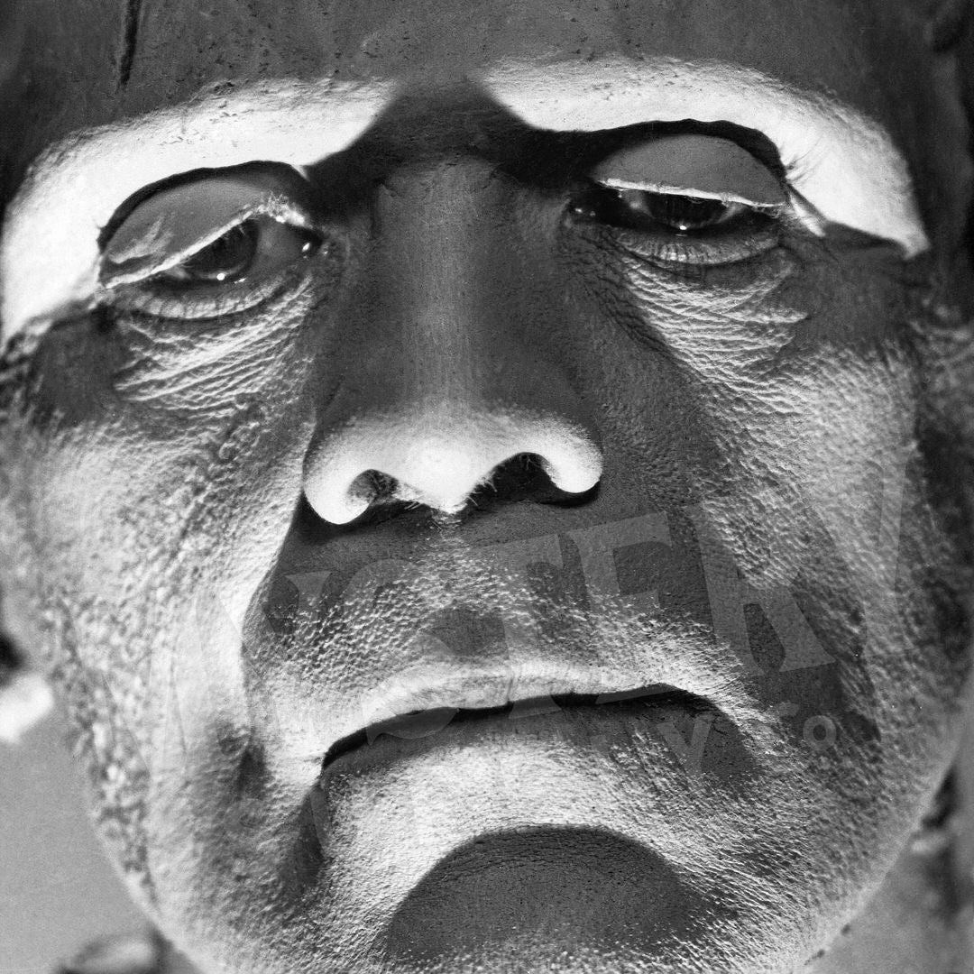 Frankenstein 1930s Vintage Horror Movie Monster Photo – Mystery Supply Co.