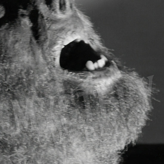 The Wolf Man 1940s Lon Chaney Jr. Howling Werewolf Photo – Mystery ...